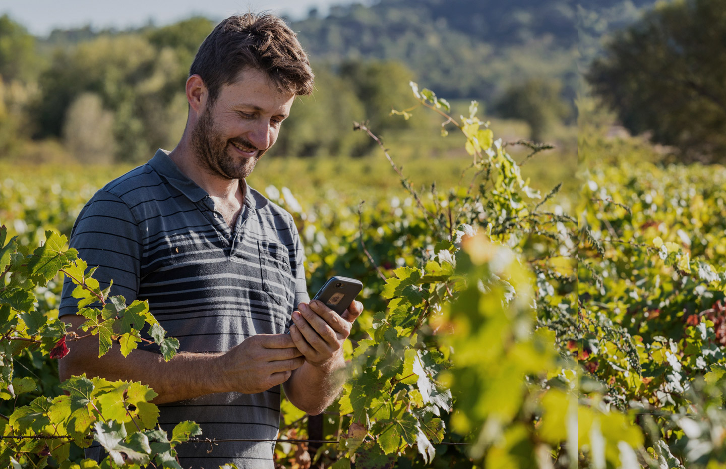 Netafim : Services & Solutions en Irrigation